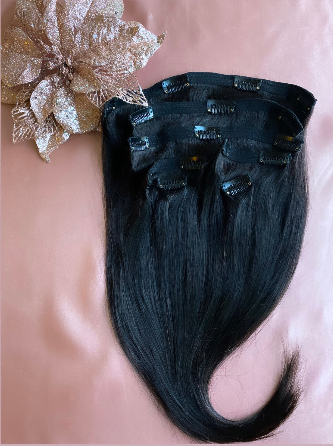 Raw Virgin Indian Clip-Ins Style: Straight – Shani Newman Hair